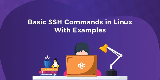 19 Basic SSH Commands in Linux With Examples