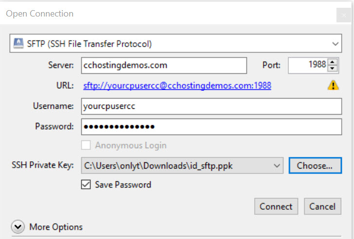 How To Use CyberDuck with SFTP On Windows 10