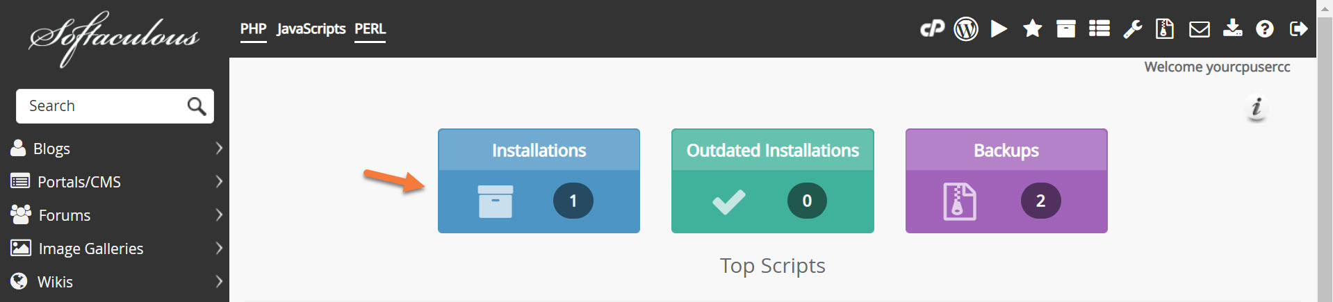 How to Clone a Website Using Softaculous