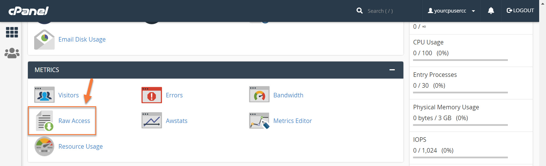 How to Download your Website RAW Access Logs in cPanel
